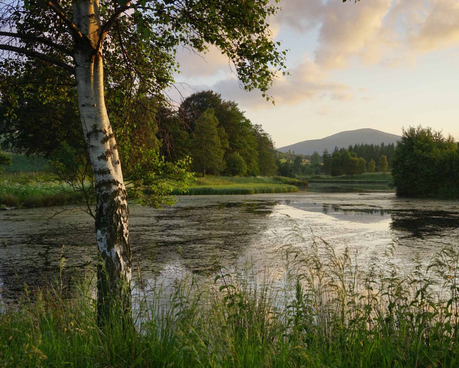 The Scottish Landscape Photographer of the Year – The official website ...